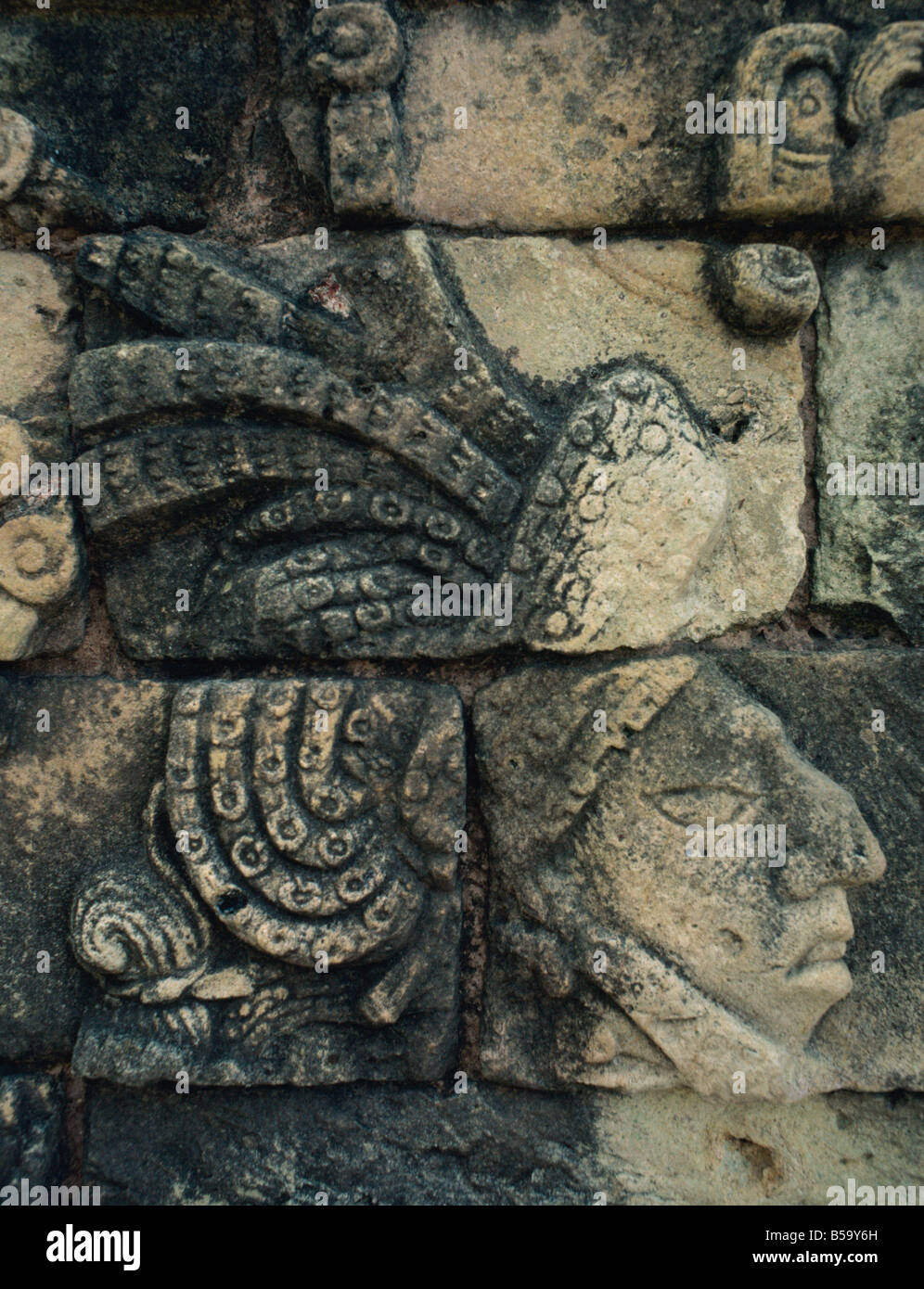 Detail of Maya stone carving at Tikal, UNESCO World Heritage Site ...