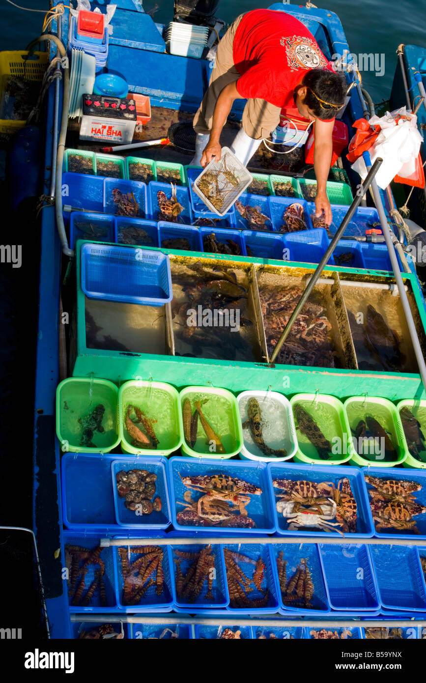 Saikung new territories fishing boats hi-res stock photography and images - Alamy