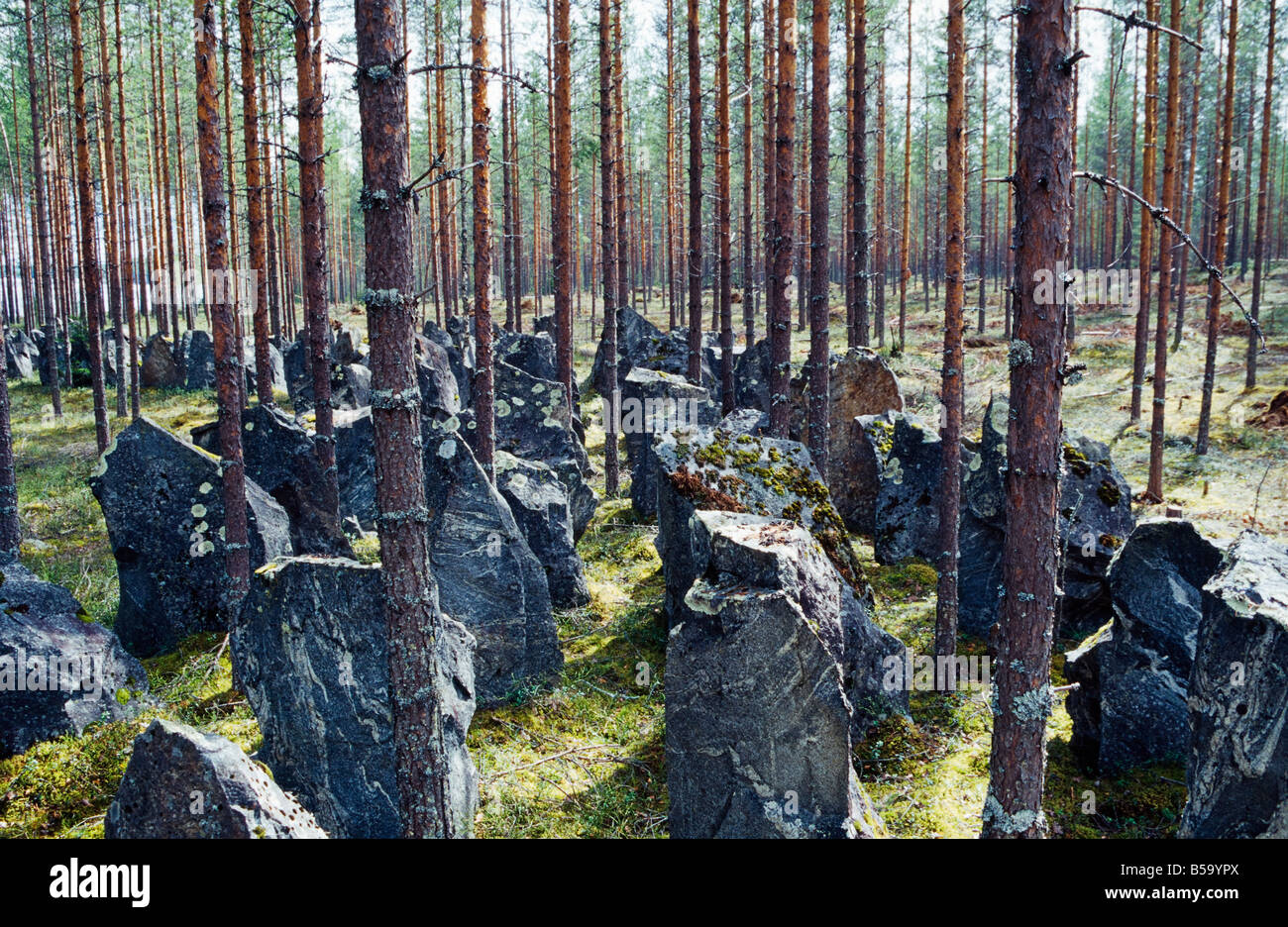 Tanks Defence from ww2 in Finland Stock Photo - Alamy