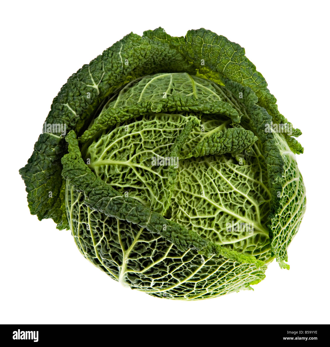 British grown Cut Out Stock Images & Pictures - Alamy