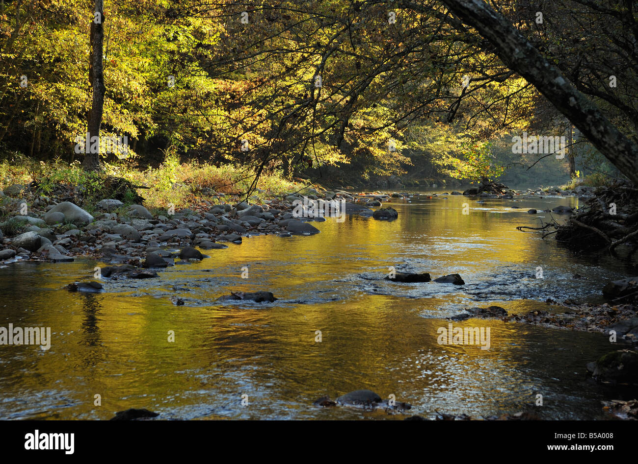 The Little River, Great Smoky Mountains National Park, Tennessee Stock ...