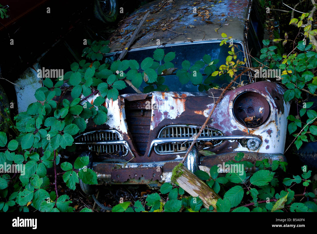 World of cars hi-res stock photography and images - Alamy