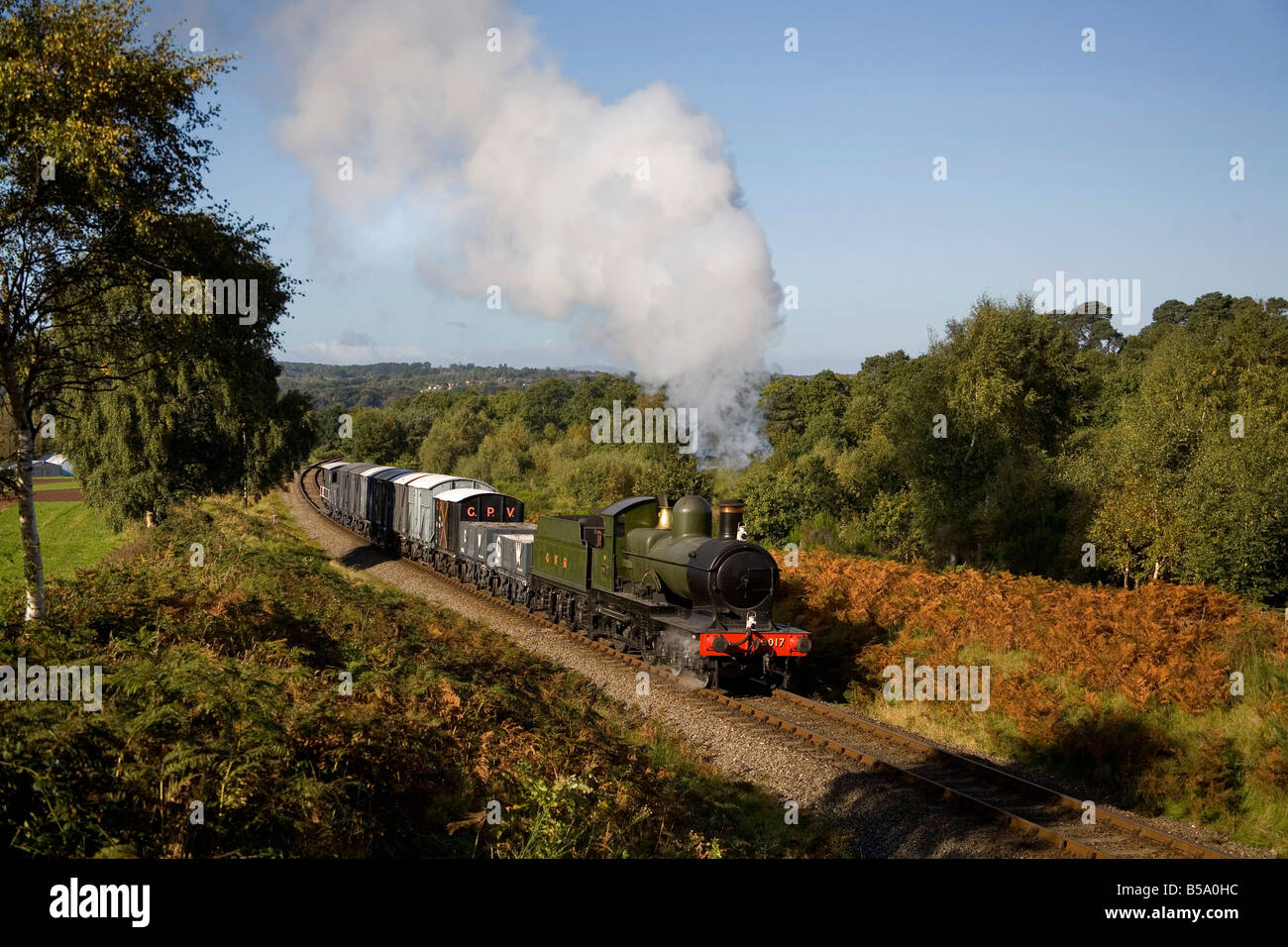 Dukedog 9017 hi-res stock photography and images - Alamy