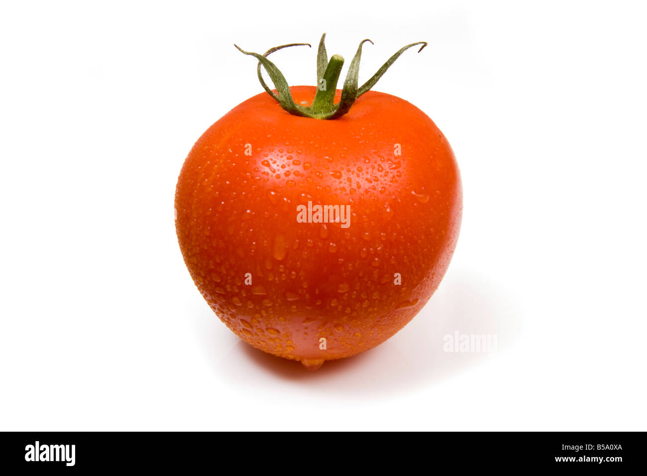 Red tomato isolated on a white studio background Stock Photo - Alamy