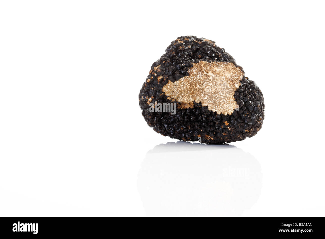 Luxury truffle hi-res stock photography and images - Alamy
