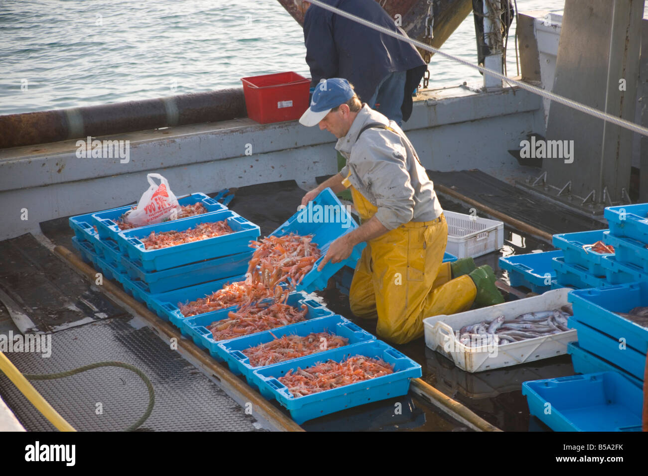 Palamos prawns spain hi-res stock photography and images - Alamy