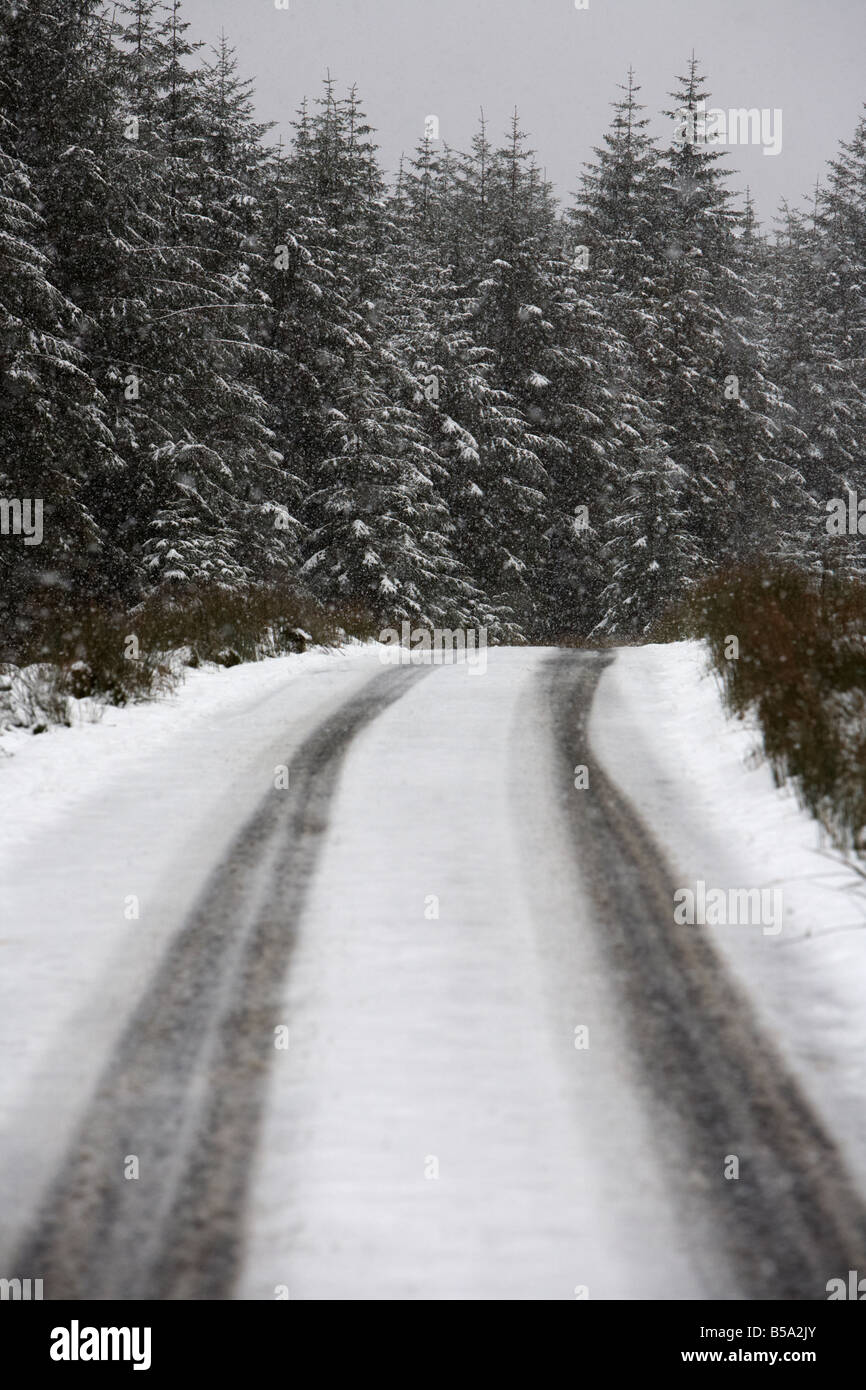 snow and ice on a remote rural mountain road running past a forest ...