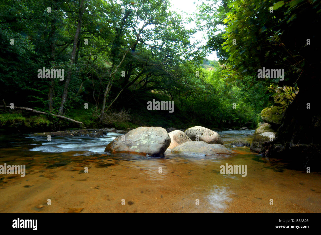 Teign valley hi-res stock photography and images - Alamy