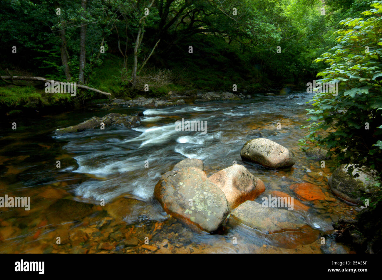 The River Teign near Fingle Bridge in the Teign Valley Devon Stock ...