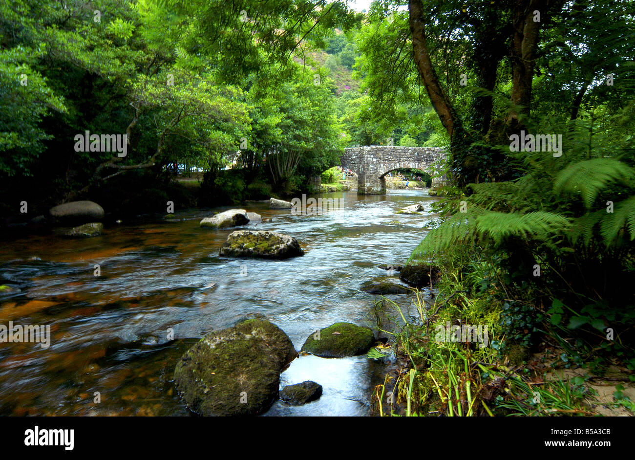 Teign valley hi-res stock photography and images - Alamy
