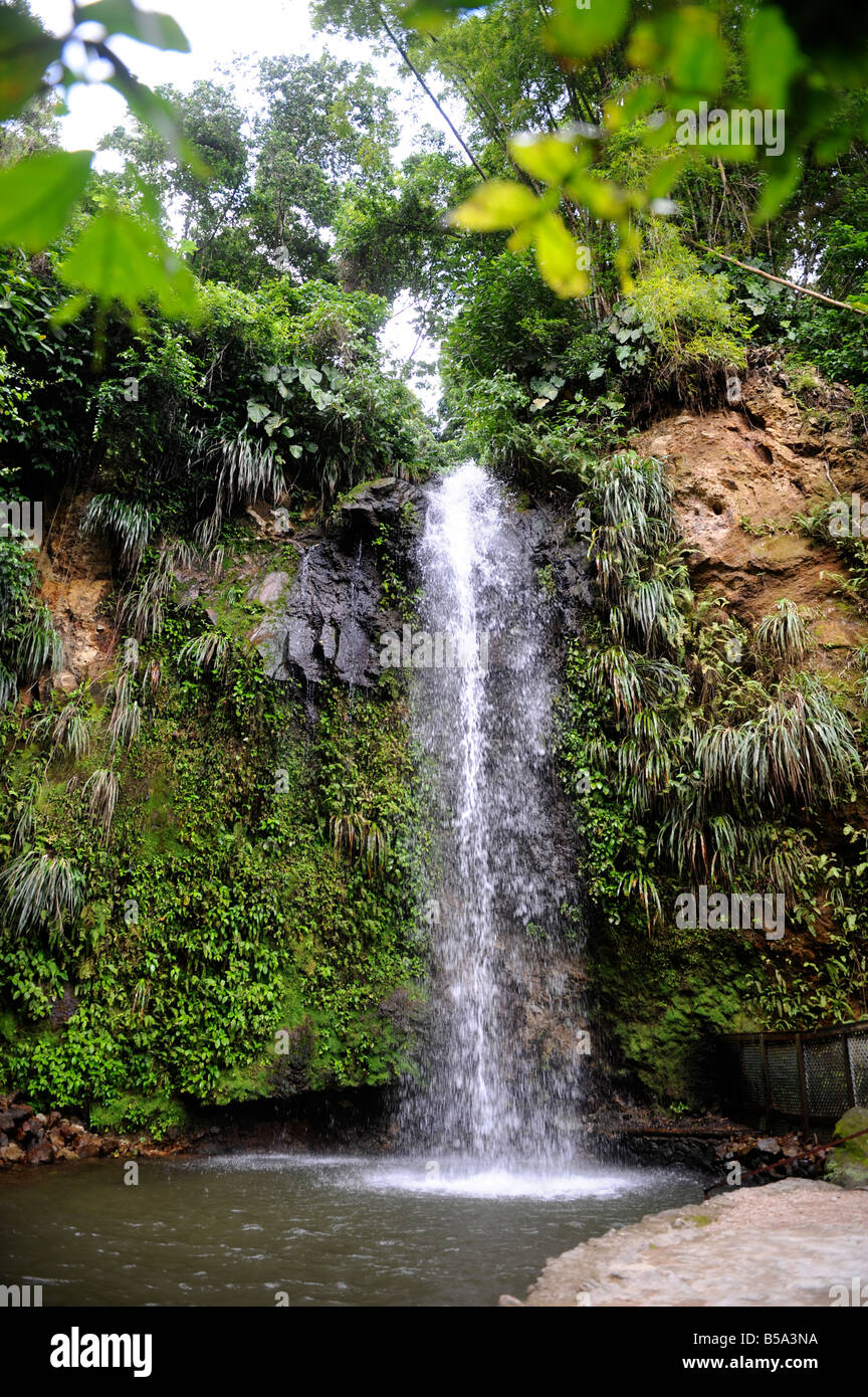 THE TORAILLE WATERFALL NEAR SOUFRIERE ST LUCIA Stock Photo - Alamy