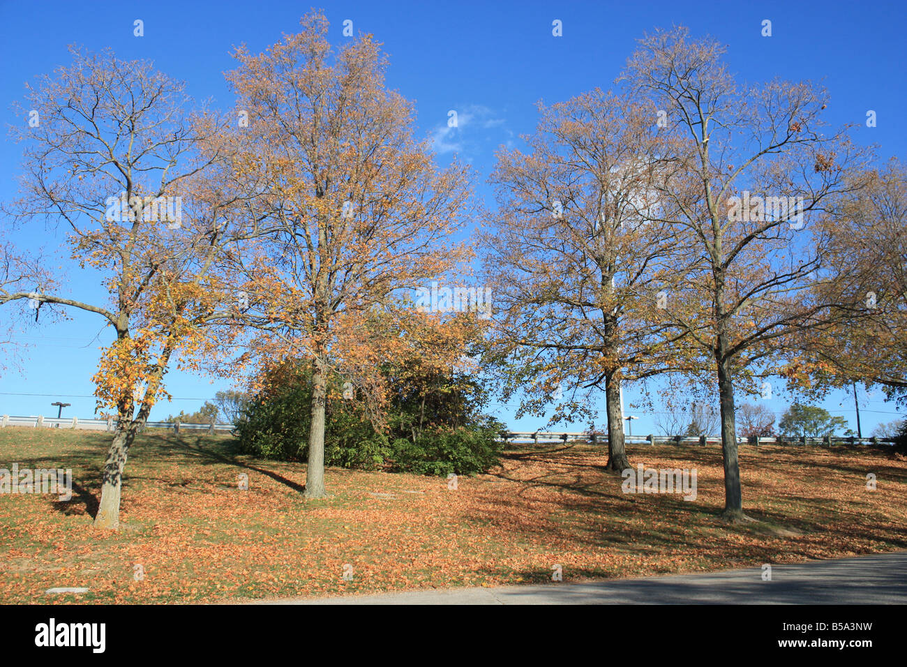 Griggs reservoir park Columbus Ohio Stock Photo - Alamy
