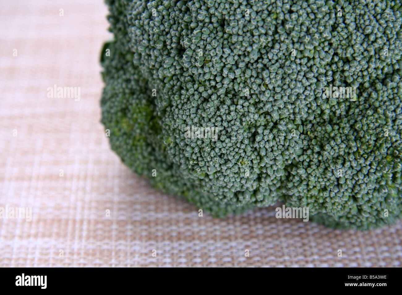 Head of broccoli hi-res stock photography and images - Alamy