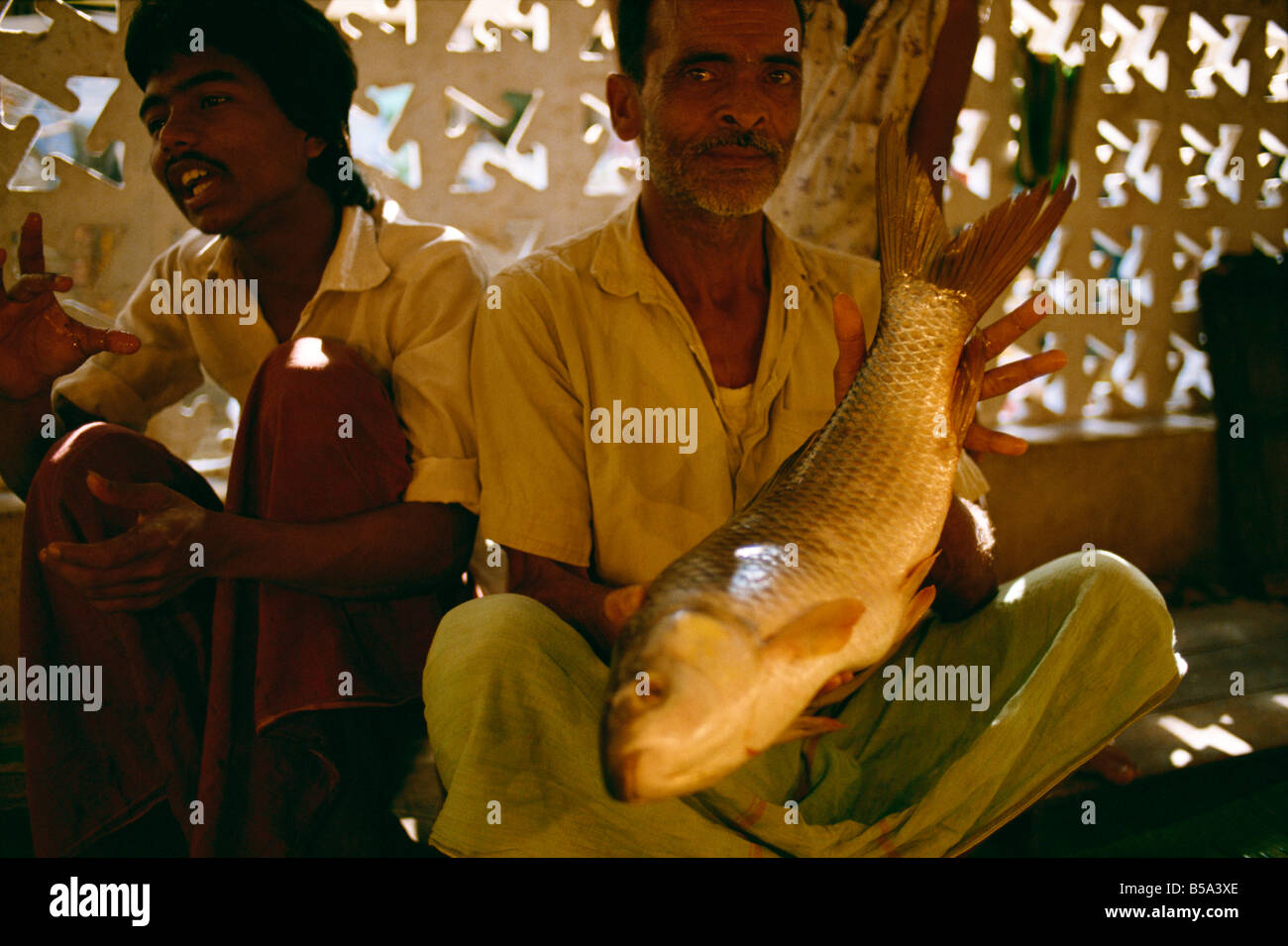 West indian fishes hi-res stock photography and images - Alamy