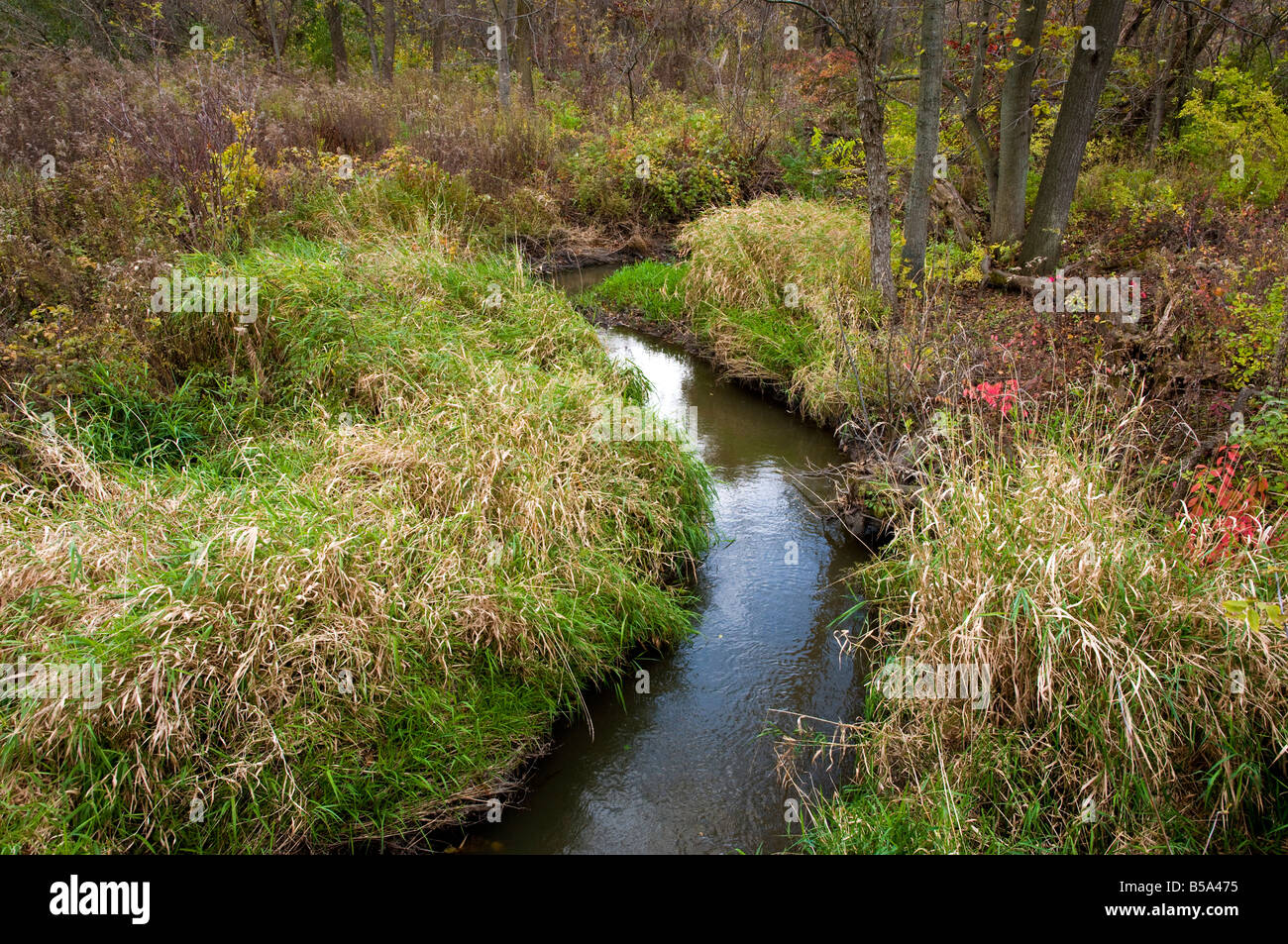 Heron creek hi-res stock photography and images - Alamy