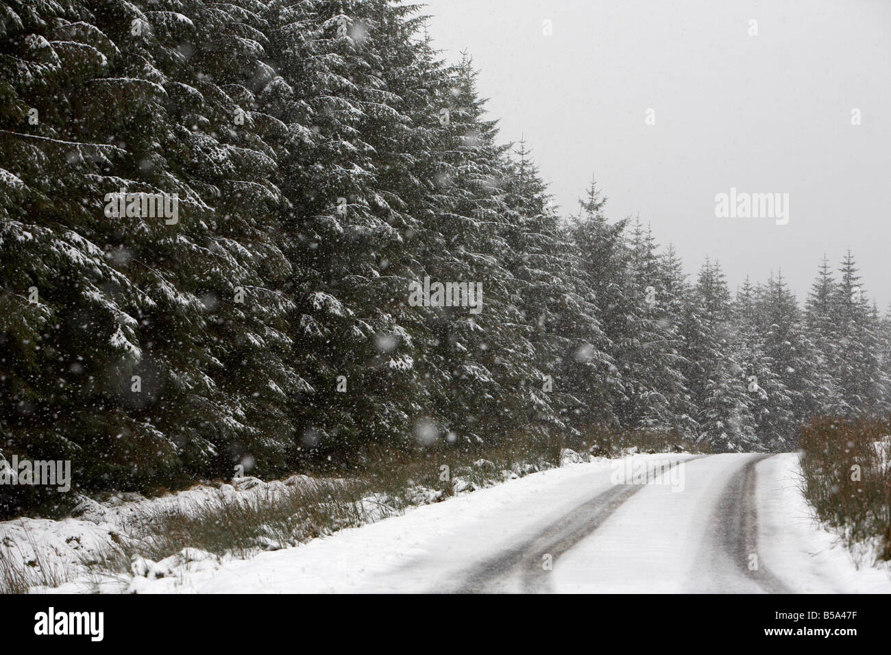 snow and ice on a remote rural mountain road running past a forest ...