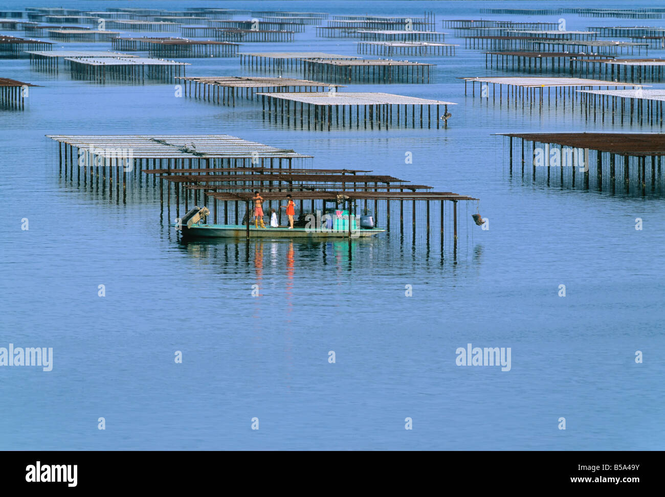 Farmers row boats hi-res stock photography and images - Alamy
