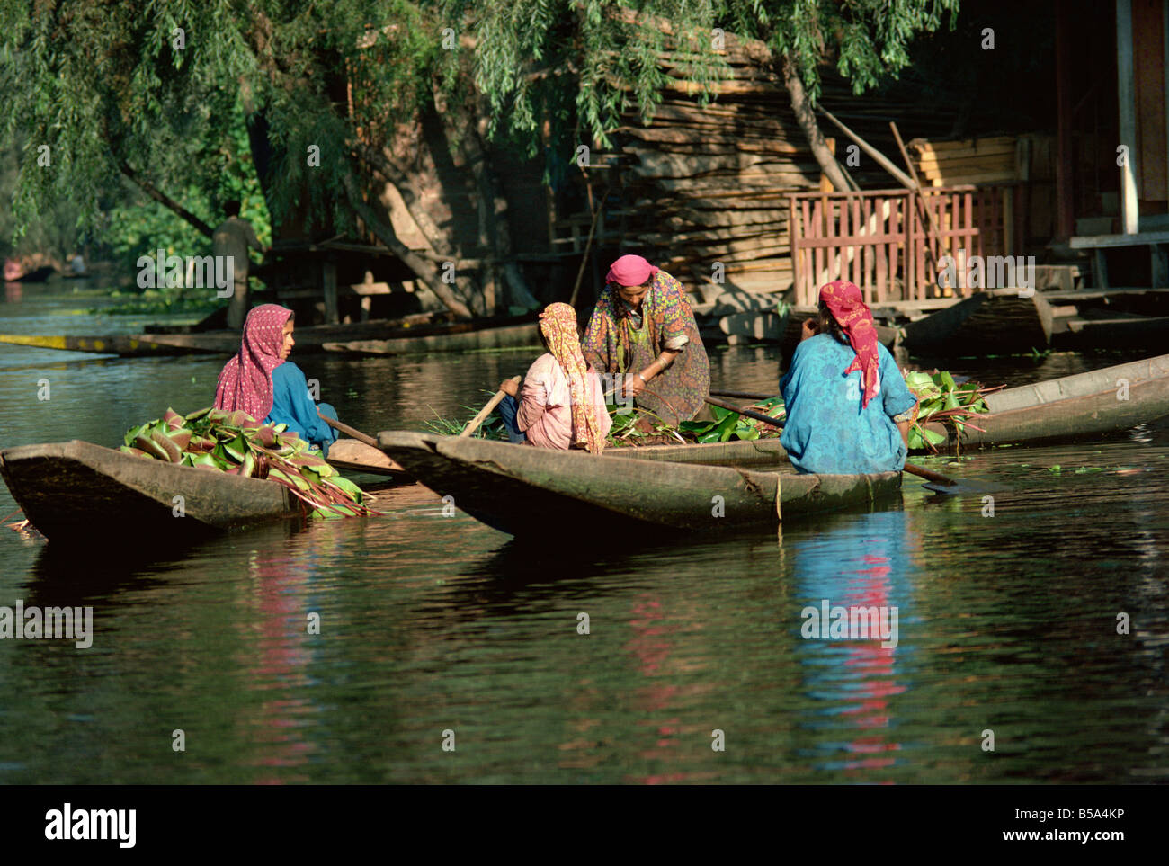 Kashmiri hi-res stock photography and images - Alamy