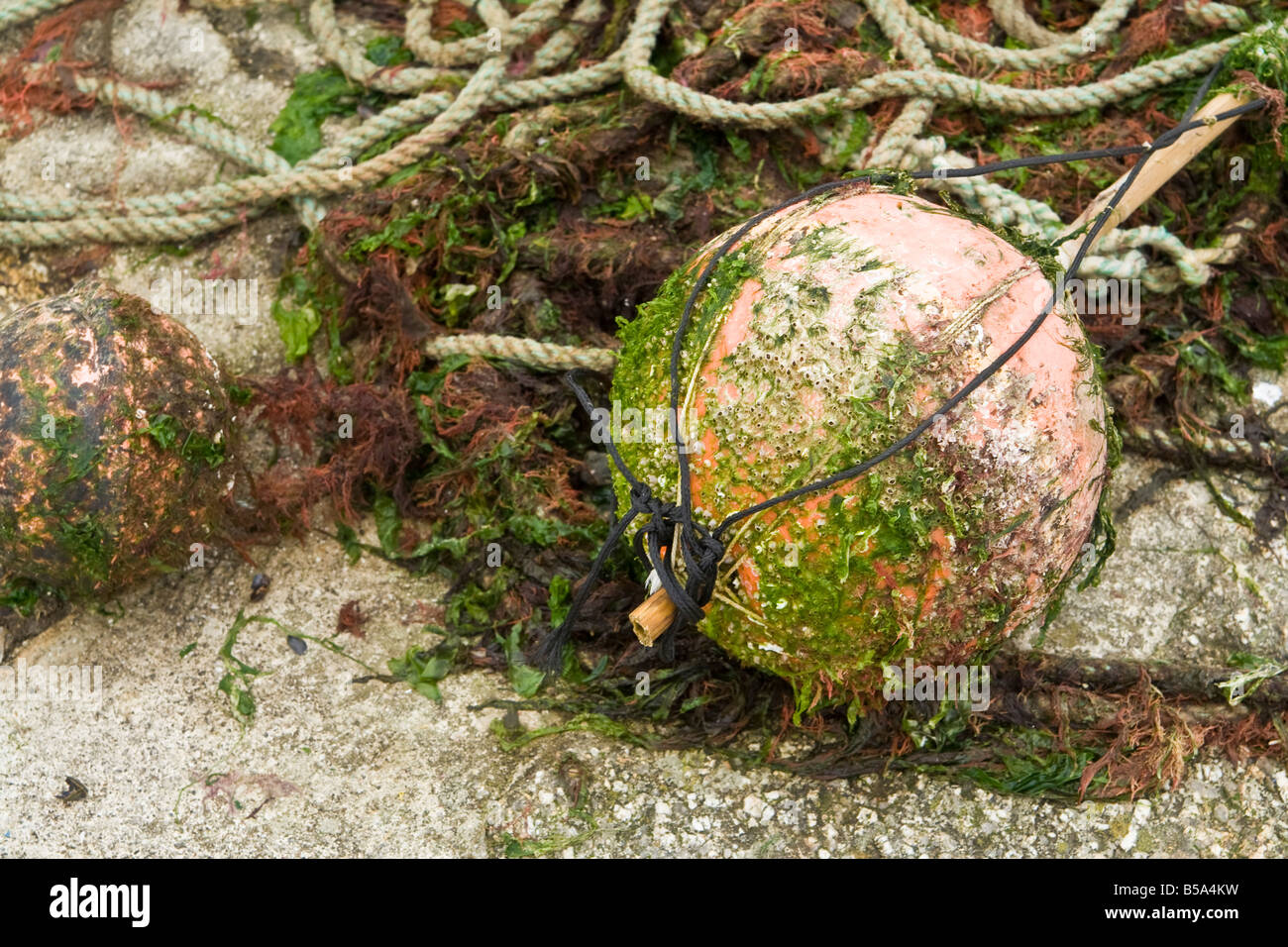 Fishing ropes and buoy Stock Photo - Alamy