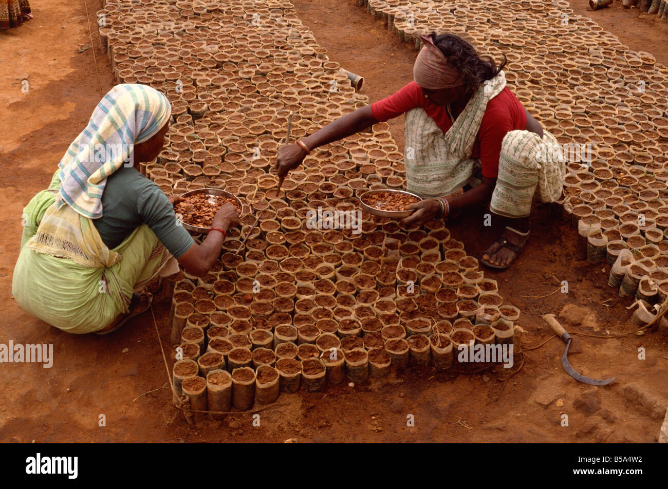Andhra pradesh india hi-res stock photography and images - Alamy