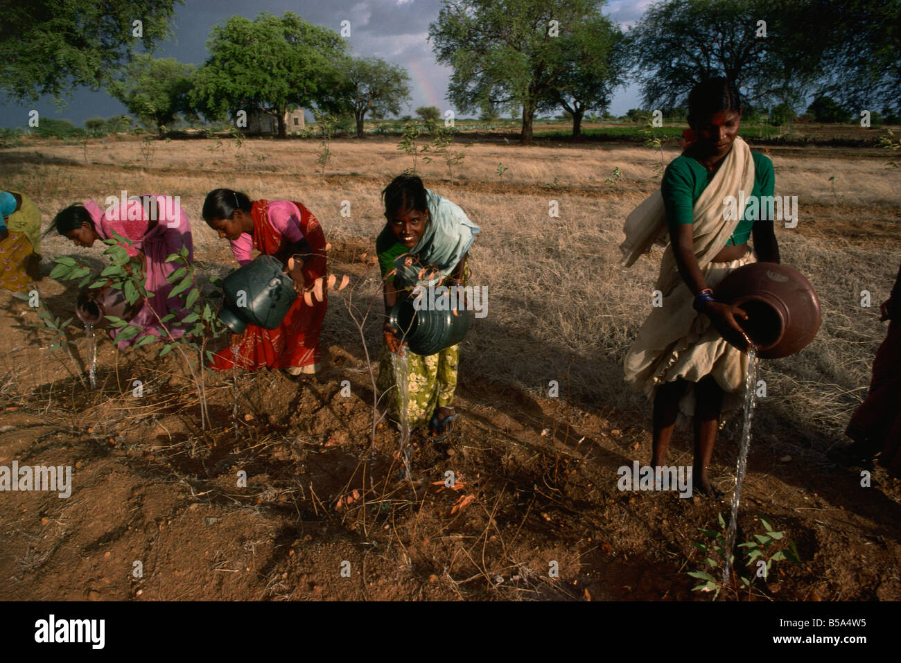 Women planting trees, Andhra Pradesh, India Stock Photo - Alamy