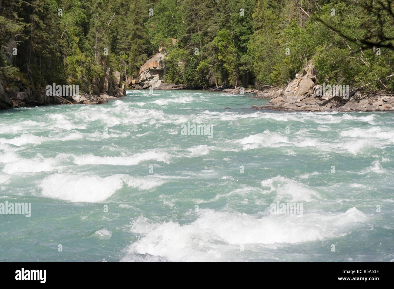 Fraser Gray Stock Photos & Fraser Gray Stock Images - Alamy