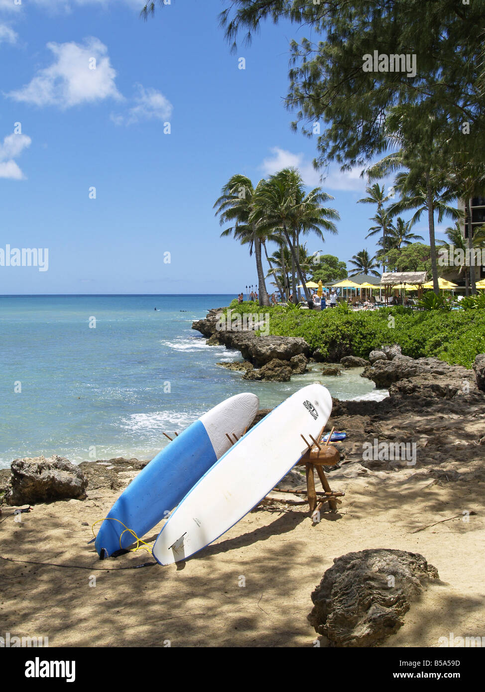 Surf Boards at Turtle Bay Resort - Oahu, Hawaii, United States of ...