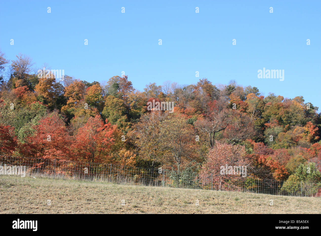 Wv nature hi-res stock photography and images - Alamy