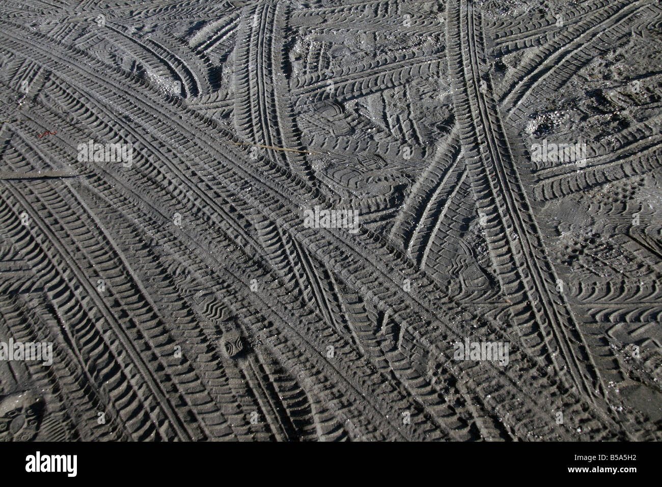 many cars tyre tracks crossing in sand in sun Stock Photo - Alamy
