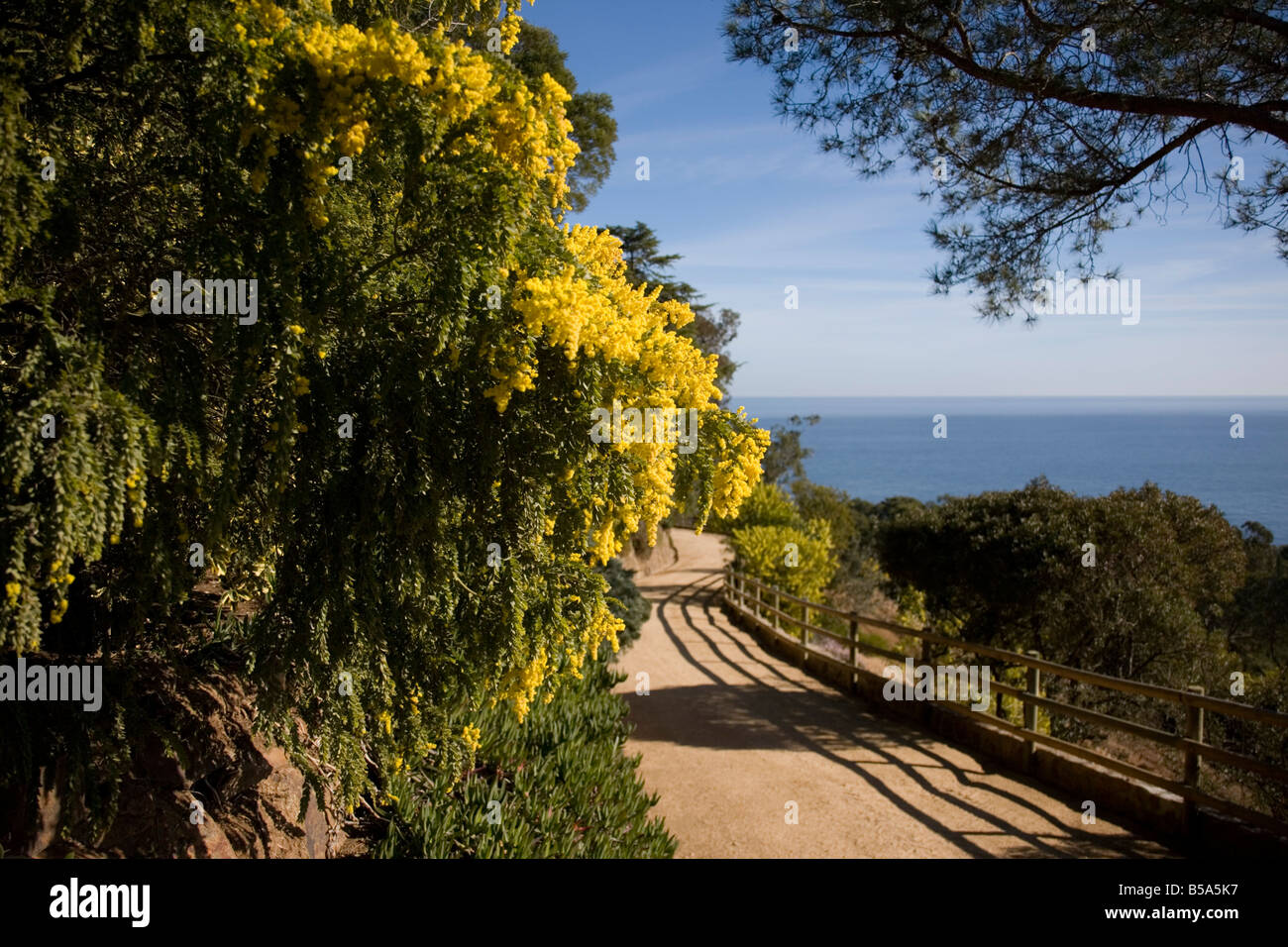 The Botanical Gardens of Cap Roig on the Cami de ronda costa brava ...