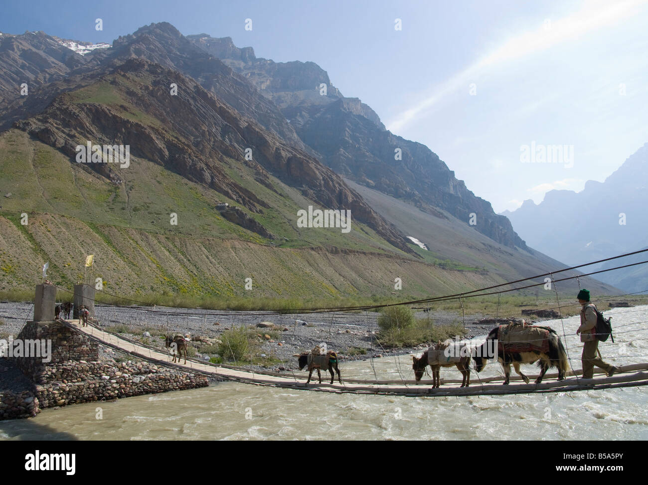 Donkeys, yak and man walking across a wooden suspended bridge, Mud, Pin ...
