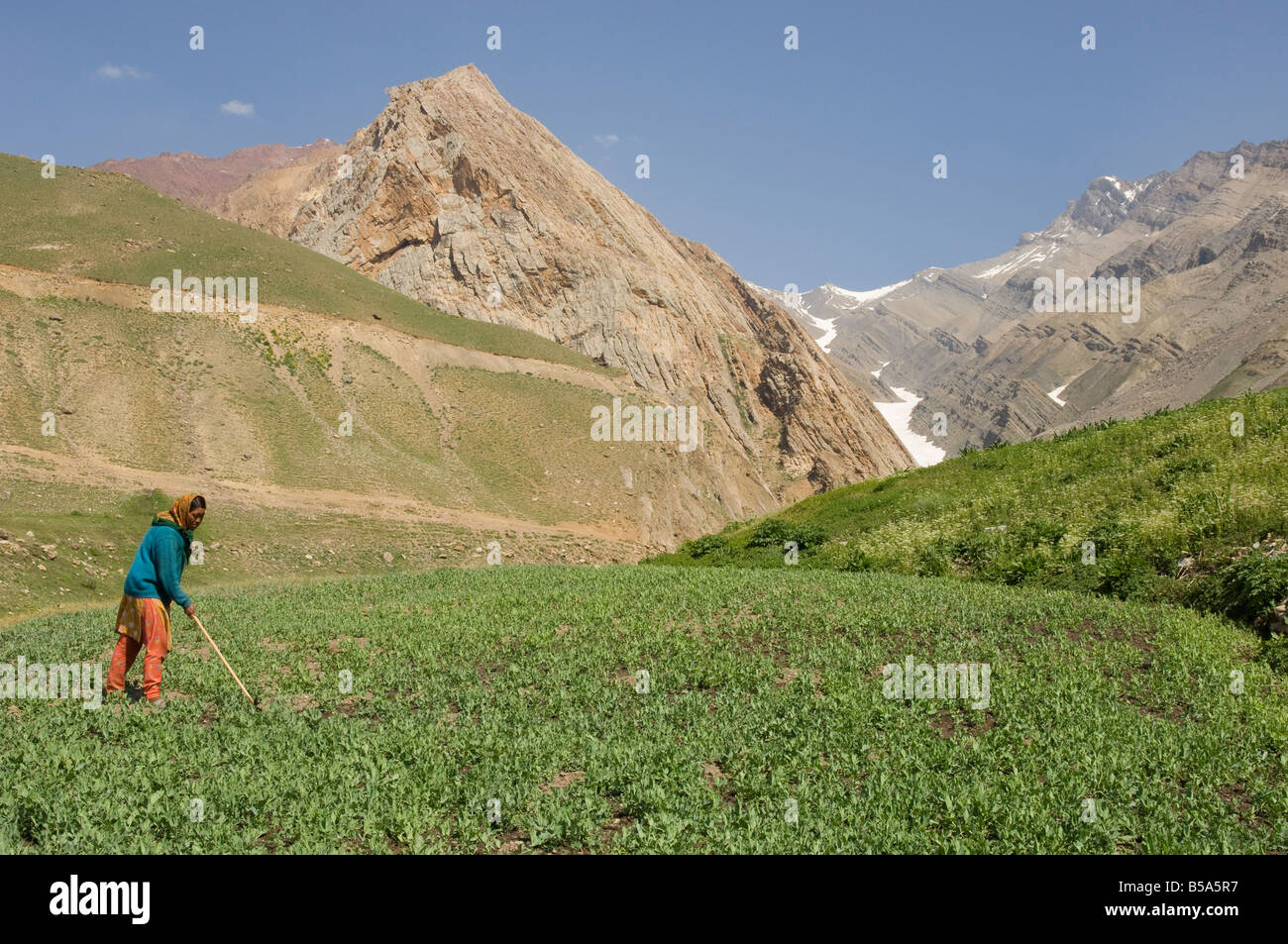 Pin valley himachal pradesh india High Resolution Stock Photography and ...