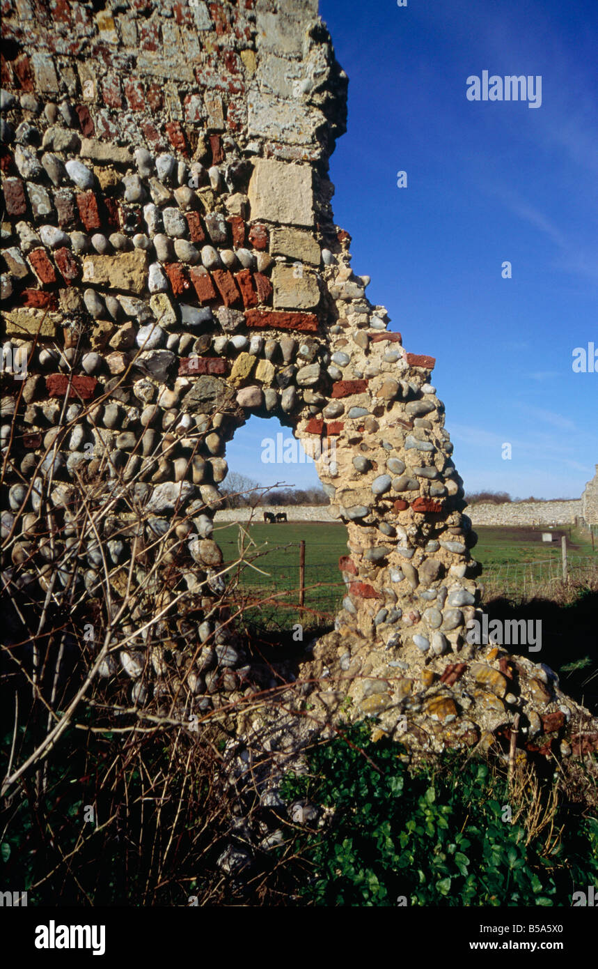 Village on coast Grey Friars friary religious house Stone wall ruin ...