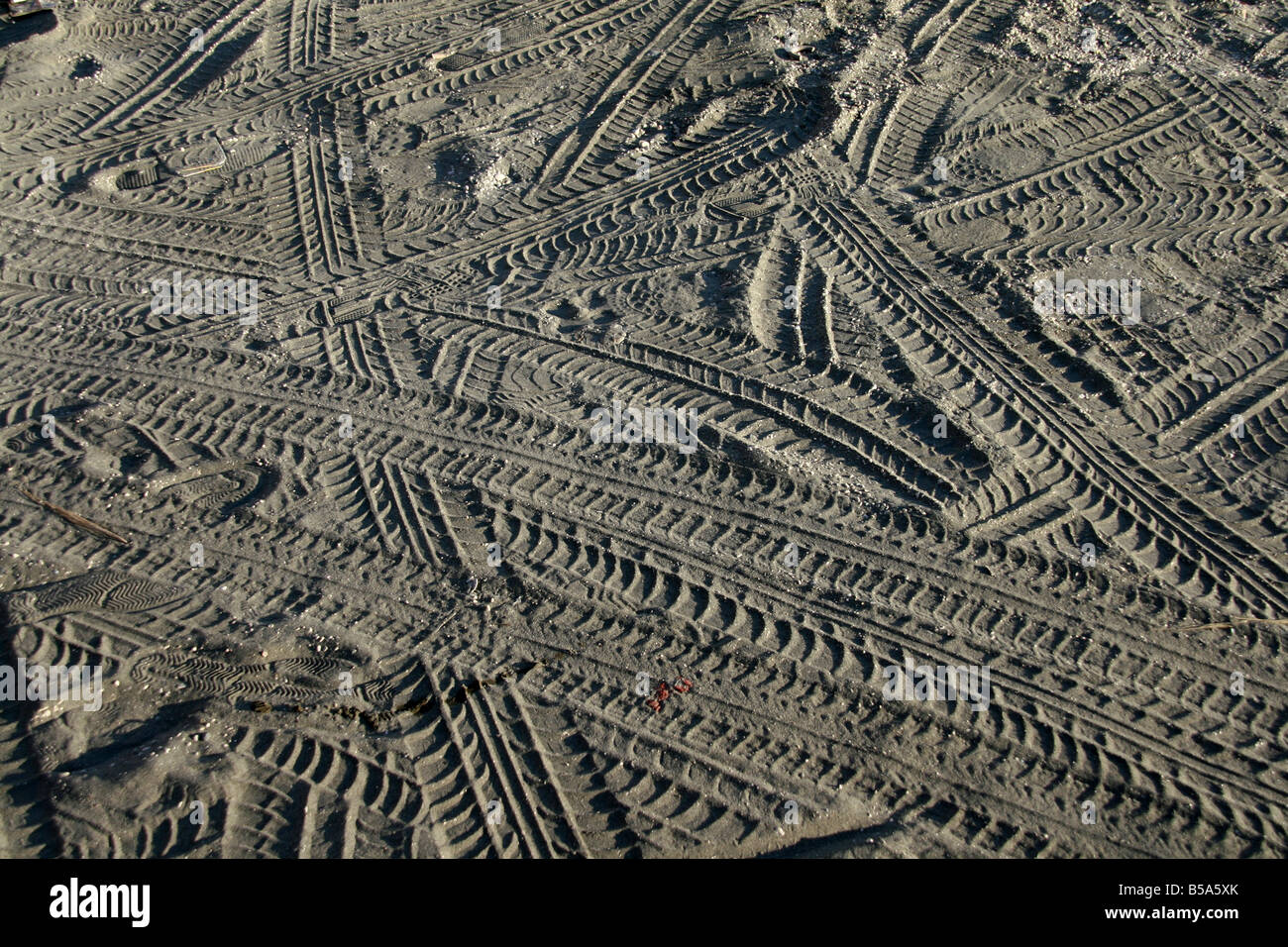 many cars tyre tracks crossing in sand in sun Stock Photo - Alamy