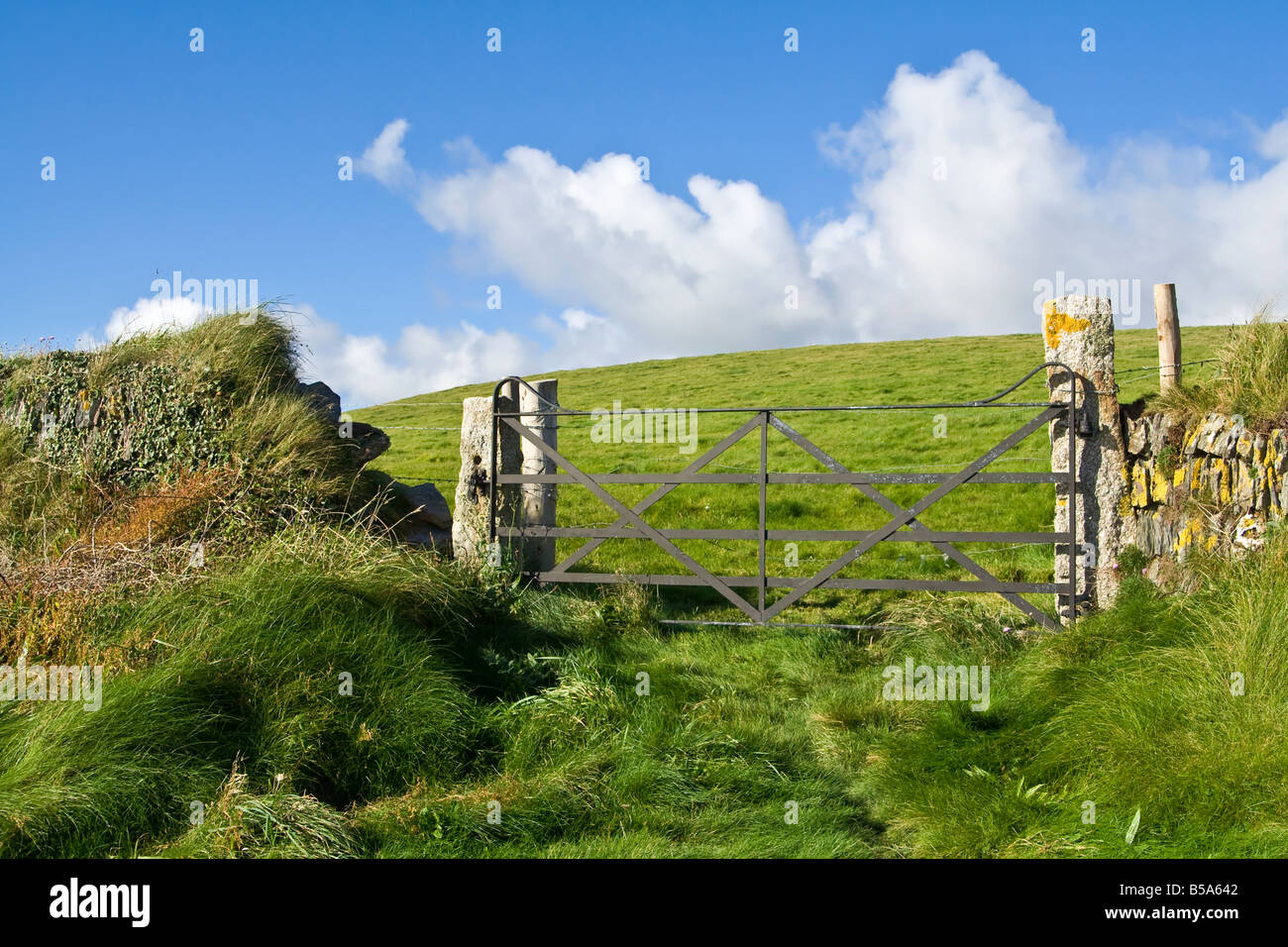A field gate Stock Photo - Alamy