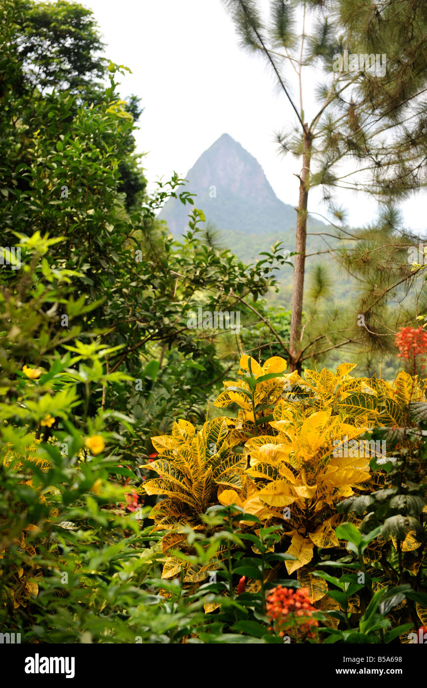 THE BOTANIC GARDENS WITH A VIEW OF PETIT PITON AT THE TORAILLE ...