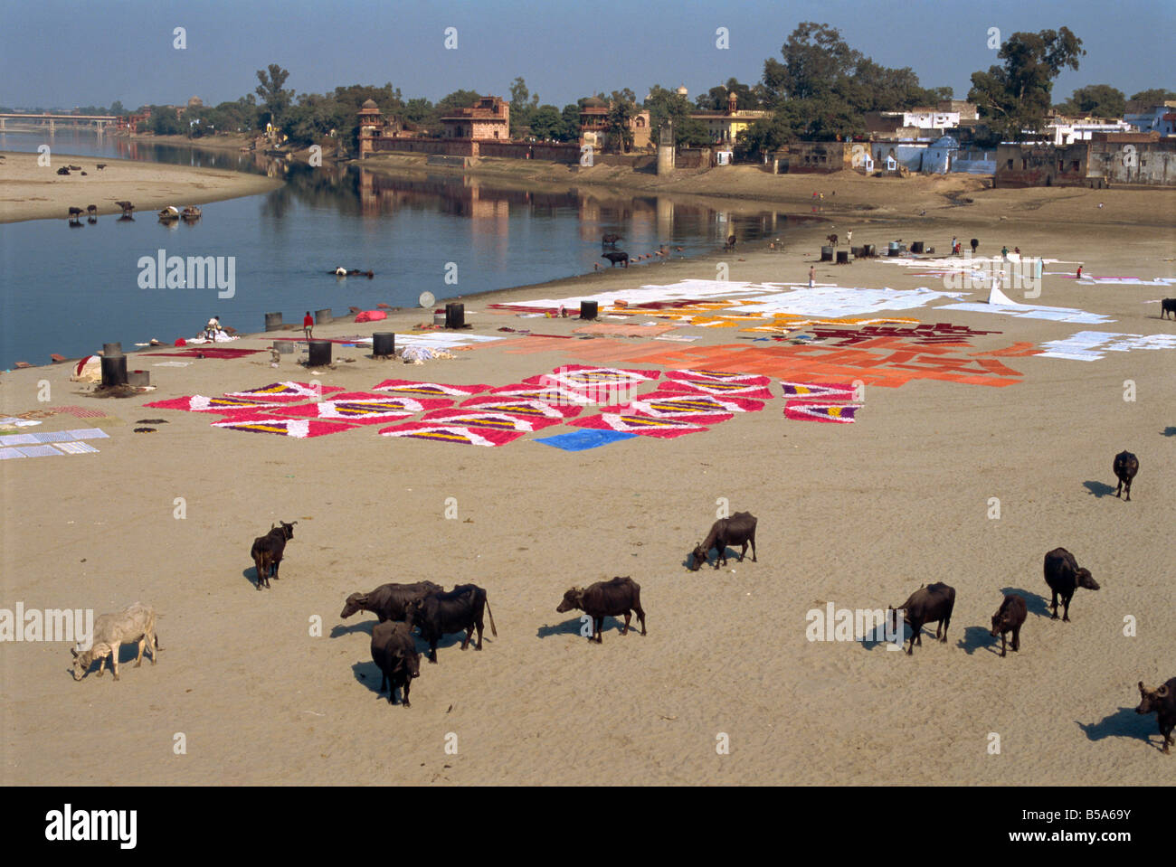 Dhobis washing river india hi-res stock photography and images - Alamy