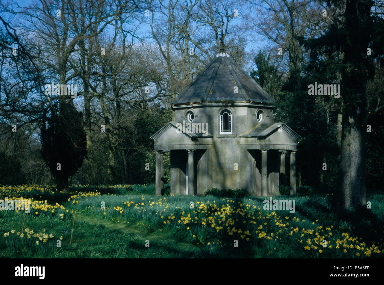 Saxham Hall Summerhouse Daffodils in flower GREAT SAXHAM SUFFOLK ...