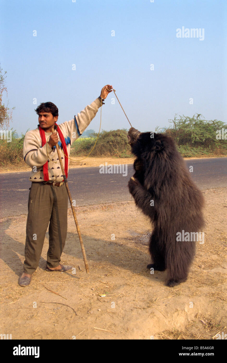 Dancing Bear Stock Photos & Dancing Bear Stock Images - Alamy
