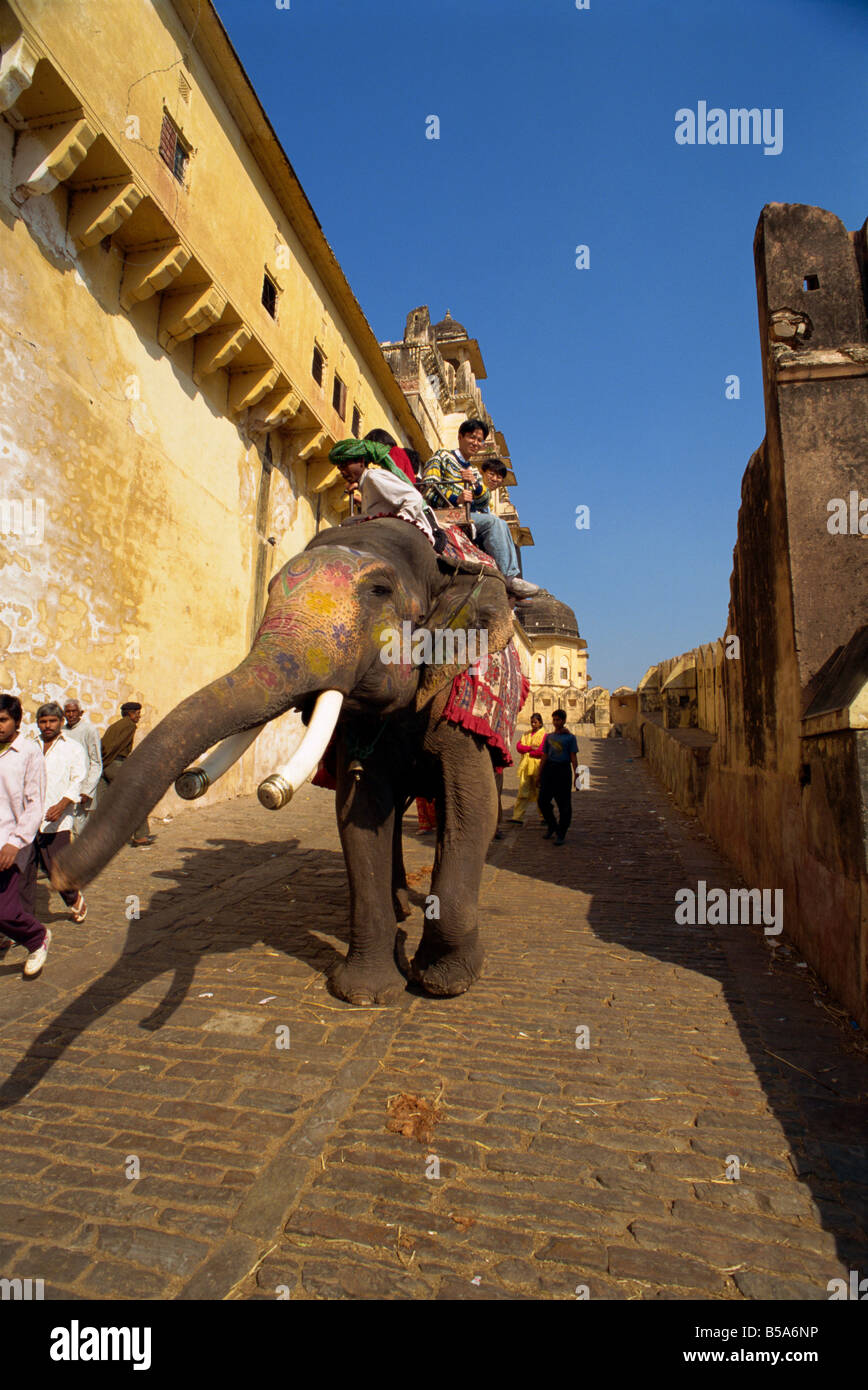 Elephant transport for tourists Amber Palace near Jaipur Rajasthan ...