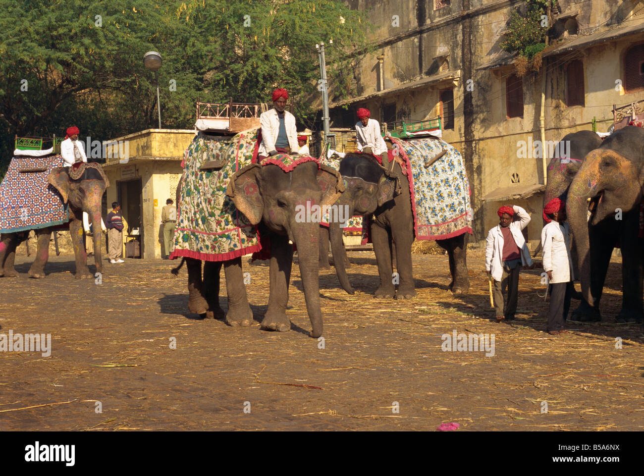 Elephant transport for tourists Amber Palace near Jaipur Rajasthan ...