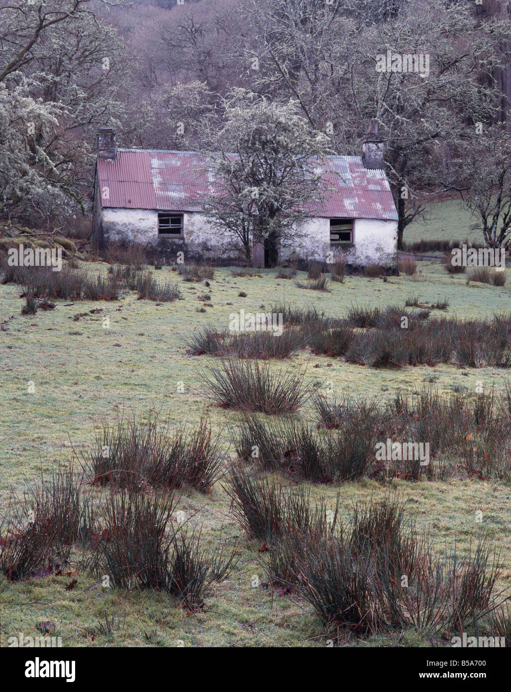 Abandoned croft house at Achnacloich near Loch Etive, Argyll, Scotland ...
