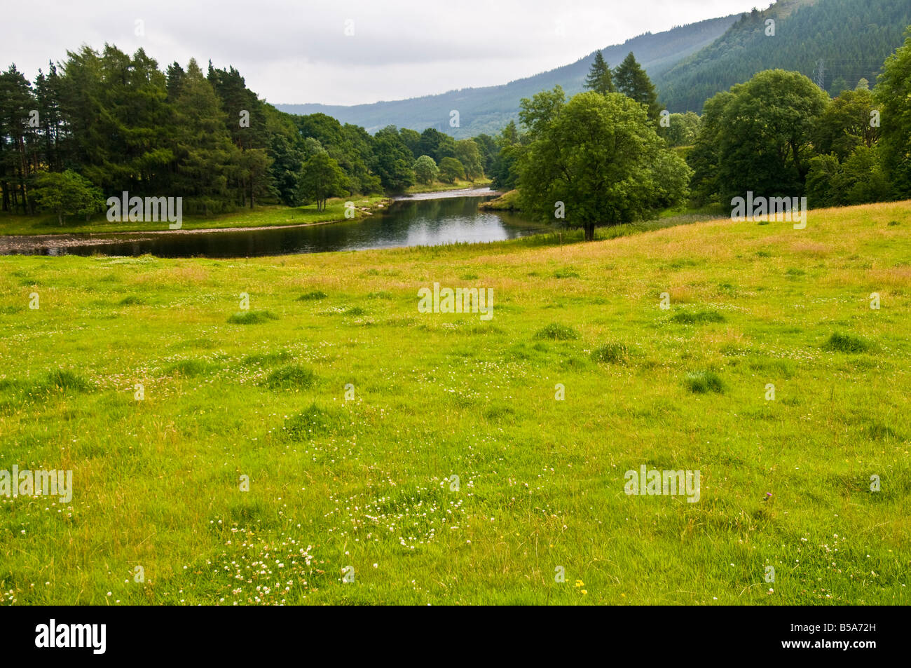 Meadow and stream Scotland UK Stock Photo - Alamy