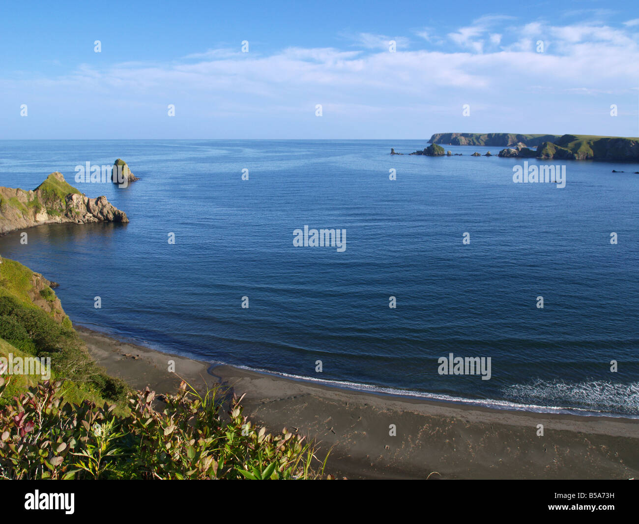 Pacific ocean bay Stock Photo - Alamy