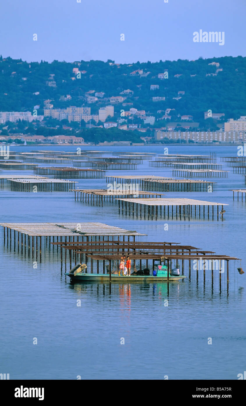 Farmers row boats hi-res stock photography and images - Alamy