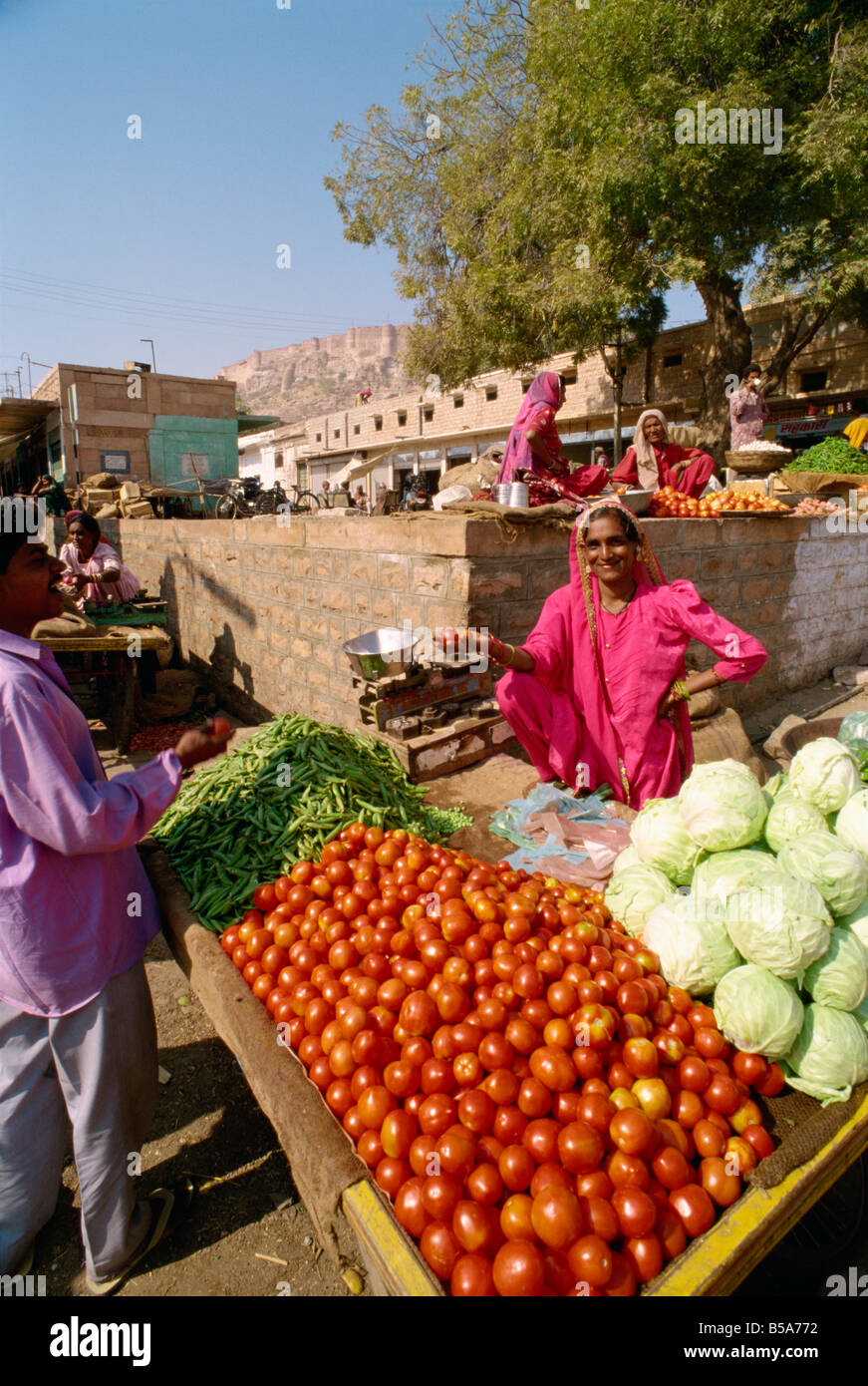 Woman selling tomatoes and vegetables from a stall Jodhpur Rajasthan ...