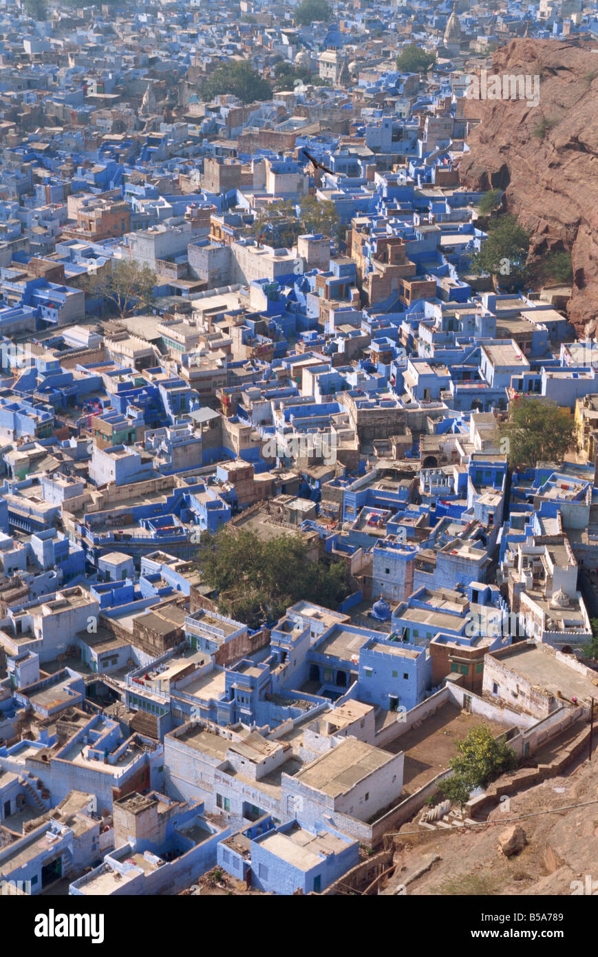 Brahmin hi-res stock photography and images - Alamy