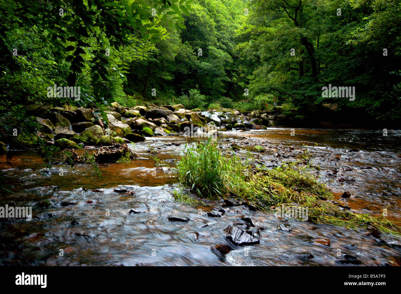 Fingle Weir on the river Teign in the Teign Valley, Devon, England, UK ...