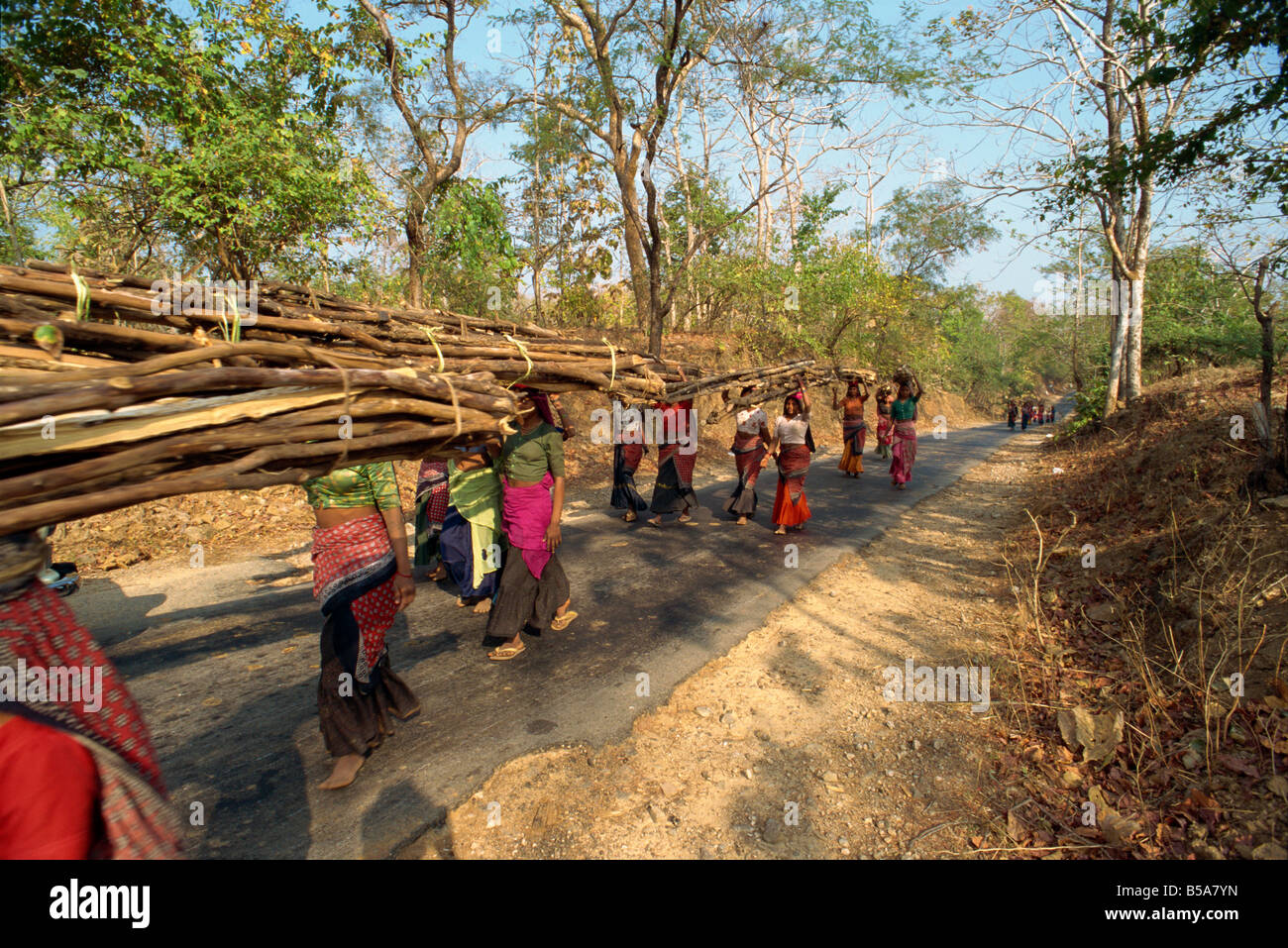 Firewood collecting hi-res stock photography and images - Alamy