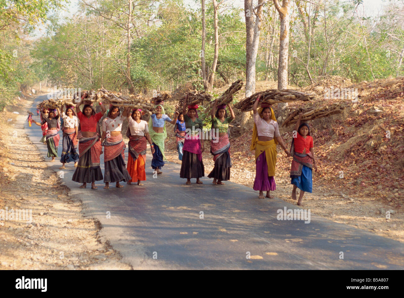 Women collecting firewood near Dhariyawad Rajasthan state India Asia ...